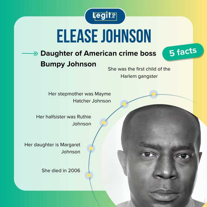 Bumpy Johnson's daughter: What happened to Elease Johnson? - Legit.ng
