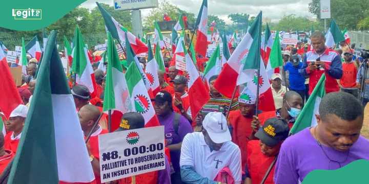 NLC Chairman Jailed Over Palliatives Diversion, Details Emerge - Legit.ng