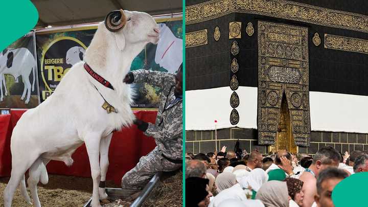 Breaking: Saudi Arabia Announces Eid-el-Kabir Day as It Sights Dhul ...