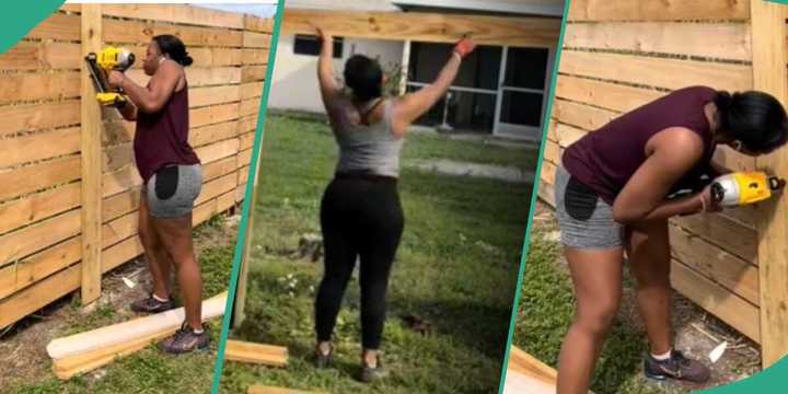 Lady Gets Materials and Builds Her Fence By Herself After Finding Out ...