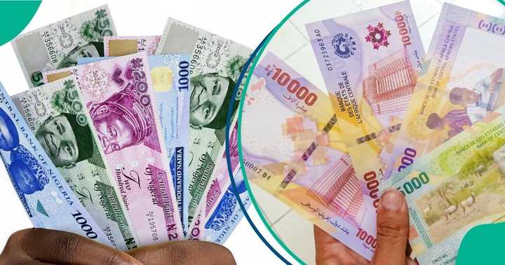 Naira Becomes Africa’s Best-Performing Currency in 2026, Appreciates 6. ...