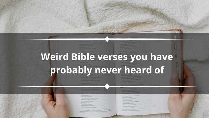 20 weird Bible verses you have probably never heard of - Legit.ng