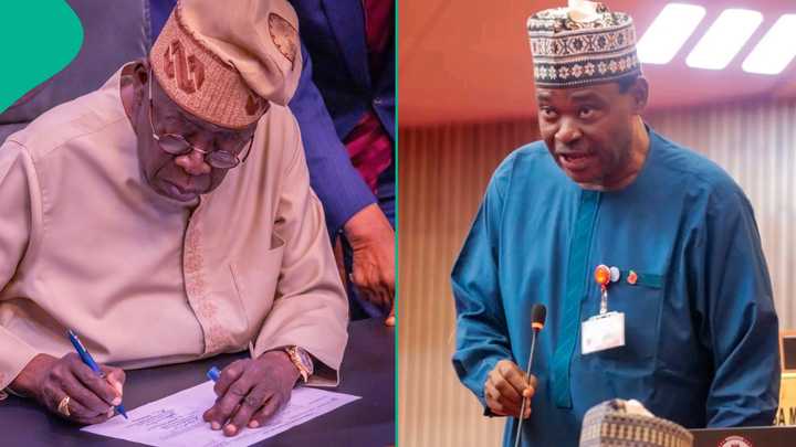Recently Appointed Nigerian UN Ambassador Wins Fresh Election - Legit.ng