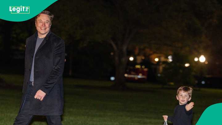 X Æ A-Xii: Names of Elon Musk 13 Children Released, Reflects His Unique ...