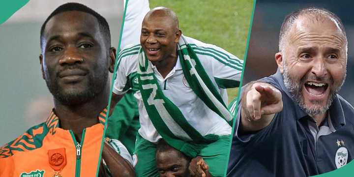 FULL LIST: Emerse Fae, Stephen Keshi, 9 Other African Coaches Who Won AFCON Title - Legit.ng