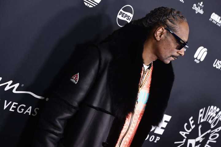 20 iconic rappers with dreads to inspire your locs journey - Legit.ng