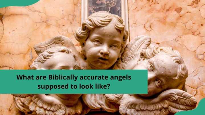 What are Biblically accurate angels supposed to look like? - Legit.ng