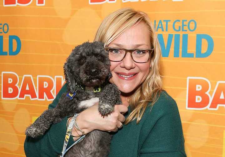 Nicole Sullivan bio: age, husband, net worth, movies and TV shows ...