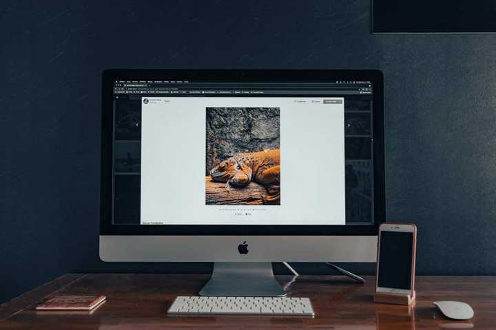 Types of computer files and their uses: A thorough guide - Legit.ng