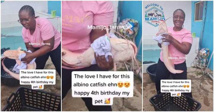 "Not for Sale": Nigerian Lady Shows off Her 4-Year-Old Fine Albino ...