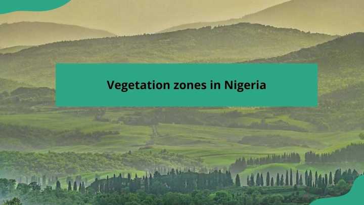 Vegetation zones in Nigeria and their states: detailed 2024 breakdown ...