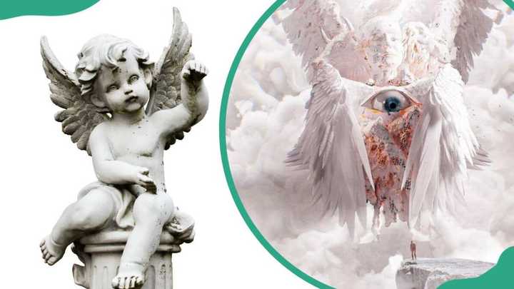 What are Biblically accurate angels supposed to look like? - Legit.ng