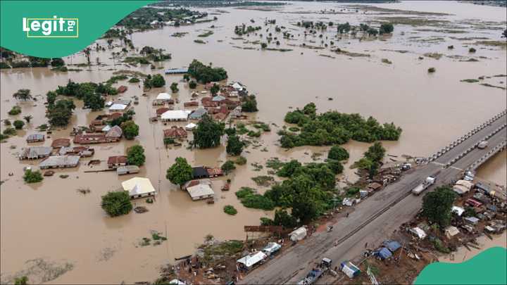 Just in: NEMA Recovers 115 Bodies In Niger’s Flood Disaster - Legit.ng