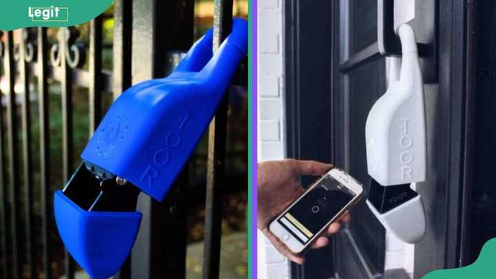 What happened to Toor after Shark Tank: is it still in business? - Legit.ng