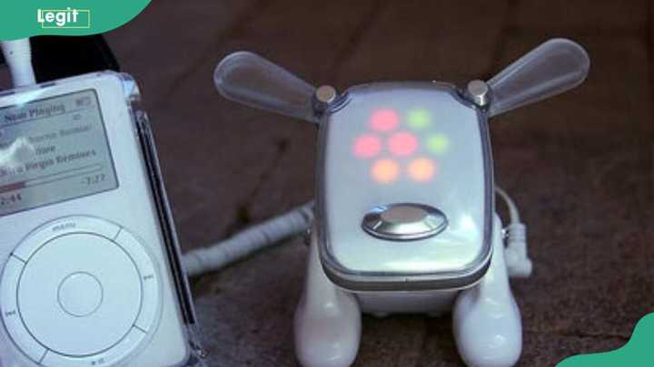 40 nostalgic 2000s toys to remind you of the good old days - Legit.ng