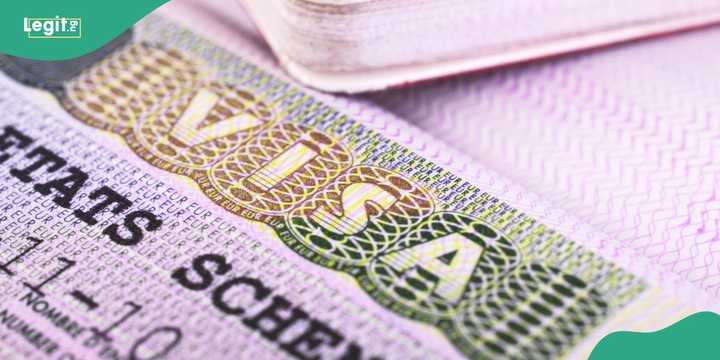 US Releases Updated Application Fees for All Visa Categories - Legit.ng