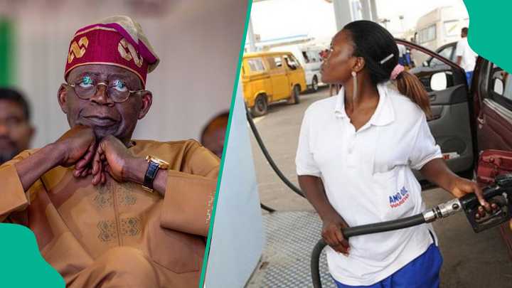 N700 Per Litre: Marketers Give Real Petrol Cost as FG Set Date for Pricing Summit - Legit.ng