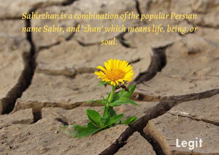 Kazakh names: 100+ examples with meaning and pronunciation - Legit.ng