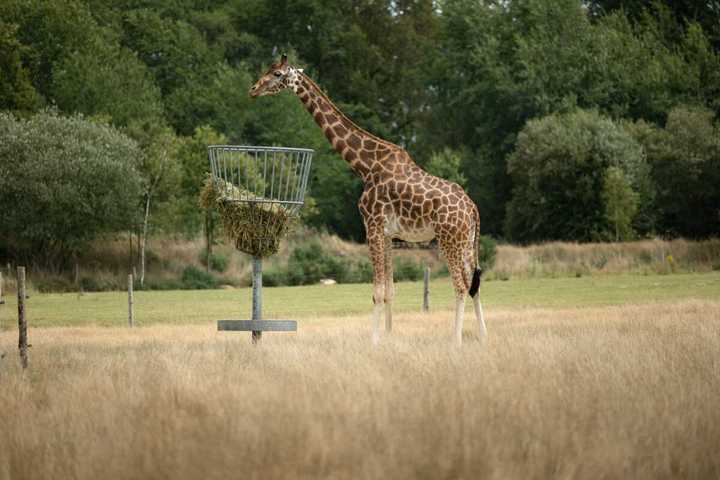 What is the biggest thing in the world? Largest items on earth - Legit.ng