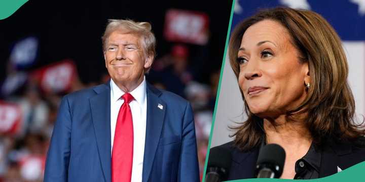 Donald Trump vs Harris: New Poll Shows Who is Leading as Early Voting ...