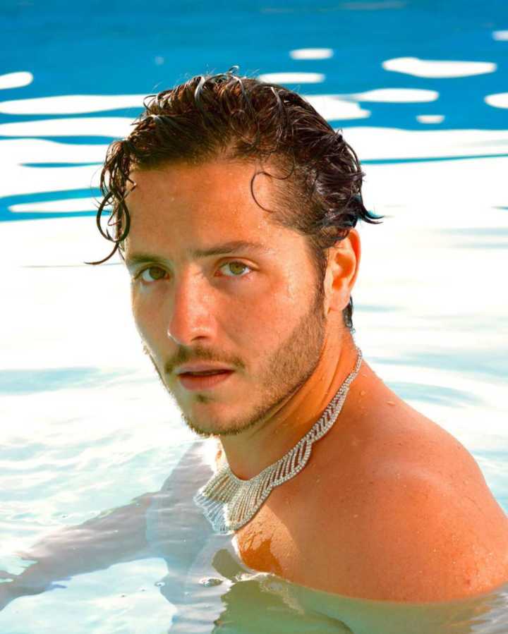 Qui est Alexandre Kominek ? Origine, parents, âge, carrière, Foresti ...