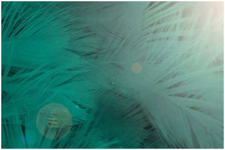 20 rare colours you will probably never see in real life - Legit.ng