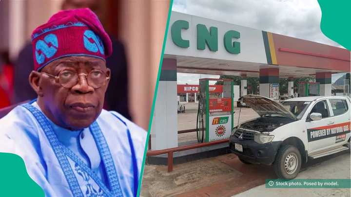 NNPCL to Cut CNG Conversion Cost by 50% to Ease Fuel Burden on Nigerians - Legit.ng