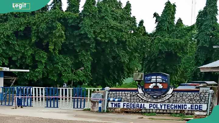 Federal Polytechnic Ede courses, requirements, and school fees - Legit.ng