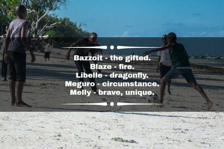 250+ cool and famous dragon names, their meanings and origin - Legit.ng