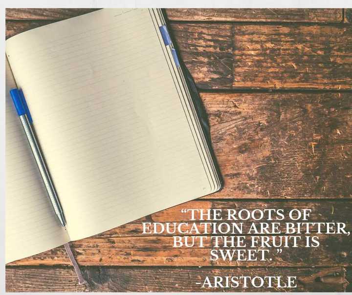 30 famous Aristotle quotes on education, love and life - Legit.ng