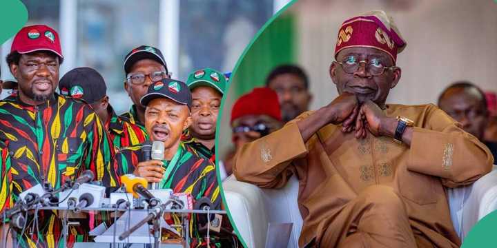 Tinubu Discloses Date to Meet NLC, May Announce New Minimum Wage - Legit.ng