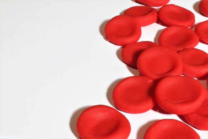 Strange facts about Rh negative blood not many people know about - Legit.ng