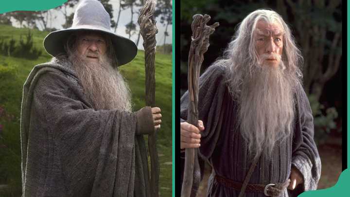 20 most famous wizards of all time from history and fiction - Legit.ng