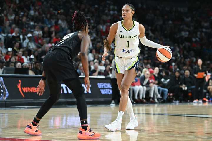 40 hottest WNBA players who are as beautiful as they are talented ...