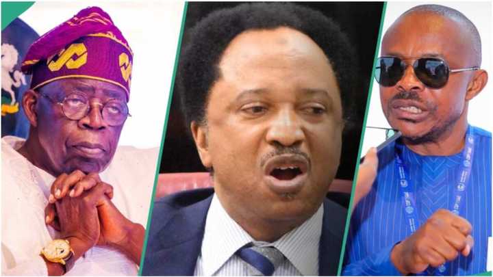 Tinubu vs NLC: Shehu Sani Unveils Tinubu vs NLC: Shehu Sani Unveils