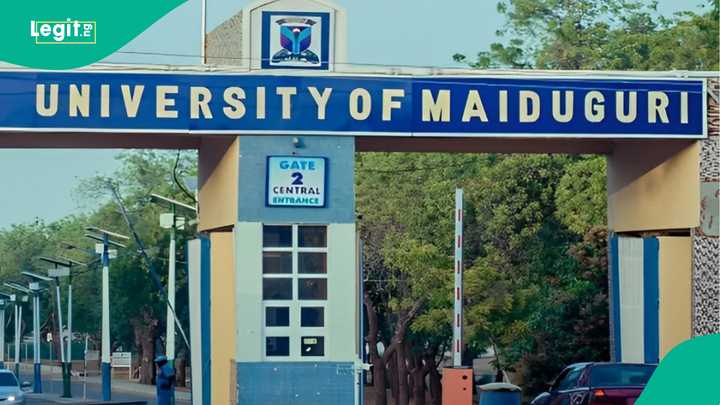 University of Maiduguri Shuts Down Due to Devastating Borno Flood ...