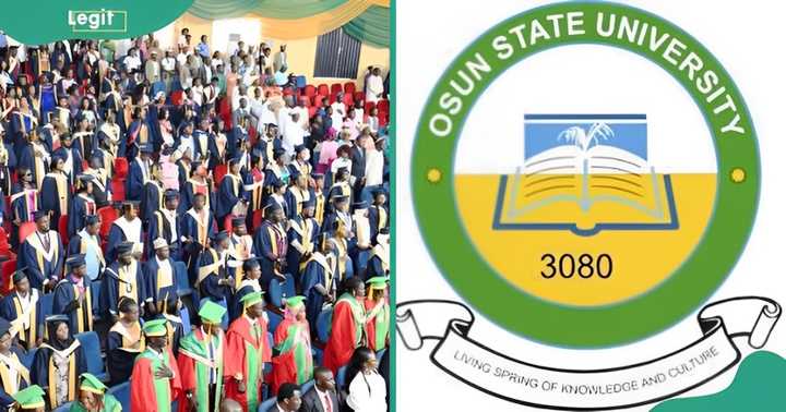 UNIOSUN admission portal: How to check your admission status and next ...