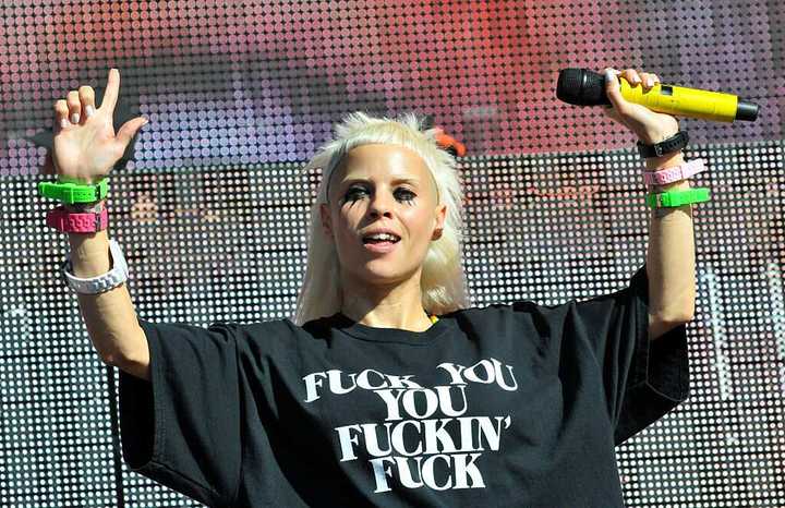 Die Antwoord’s Yolandi Visser: age, husband, children, net worth - Legit.ng