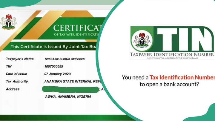 Tax Identification Number: How to get a TIN number in Nigeria in 2026 ...