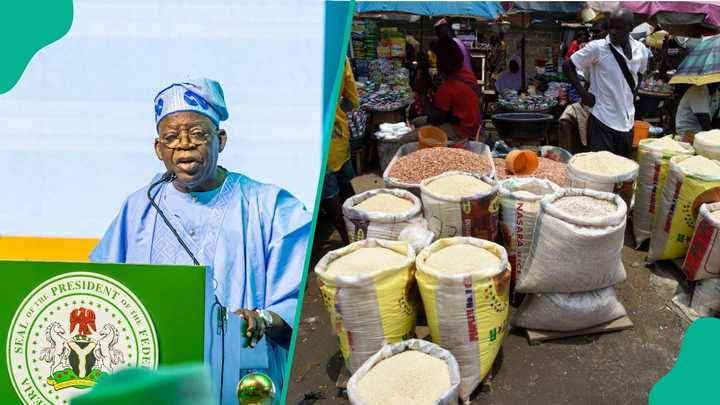 Food, Drugs: FG Updates List of Banned Import Items in New Trade Policy ...