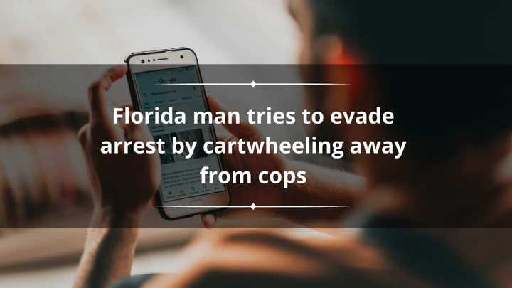 40 craziest Florida Man headlines that have kept the meme alive - Legit.ng