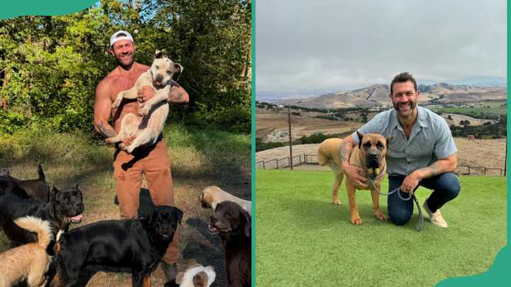 Does Lee Asher have a wife? A look at his relationships - Legit.ng