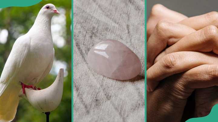 25 fascinating symbols of love in different cultures - Legit.ng