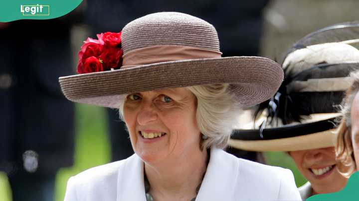 Who were Diana Princess of Wales's siblings? Meet her four brothers and ...