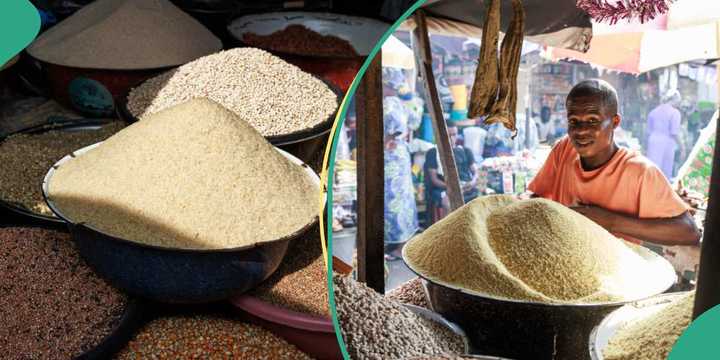 FG Moves to Crash Rice Price, Purchases 58,500 Tons to Saturate Market ...