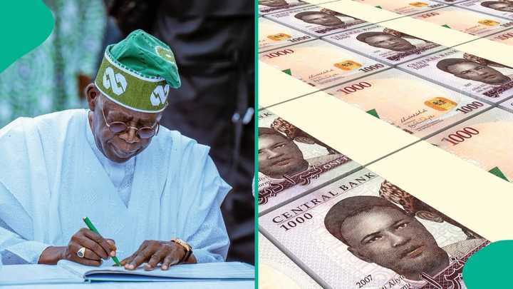 Actual Salaries of Nigerian President and Governors Released - Legit.ng