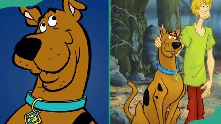 30 most beloved famous duos in history, from reality to fiction - Legit.ng