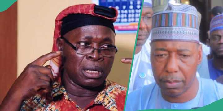 MURIC Speaks on Boko Haram Resurgence as Borno Governor Cries Out ...