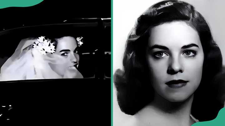 Meet Stephen Colbert siblings and parents: a look at his family ...