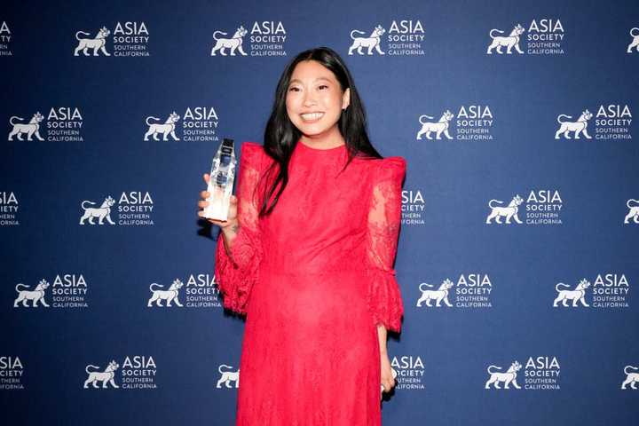 25 best Asian comedians to check out when you need a laugh - Legit.ng